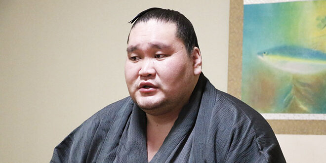Exposition : Mont Fuji et Sumo | Dosukoi, le site du sumo